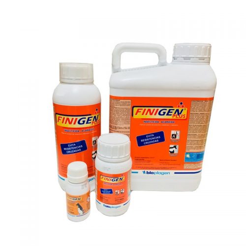 Finigen Plus – La Casa del Campo